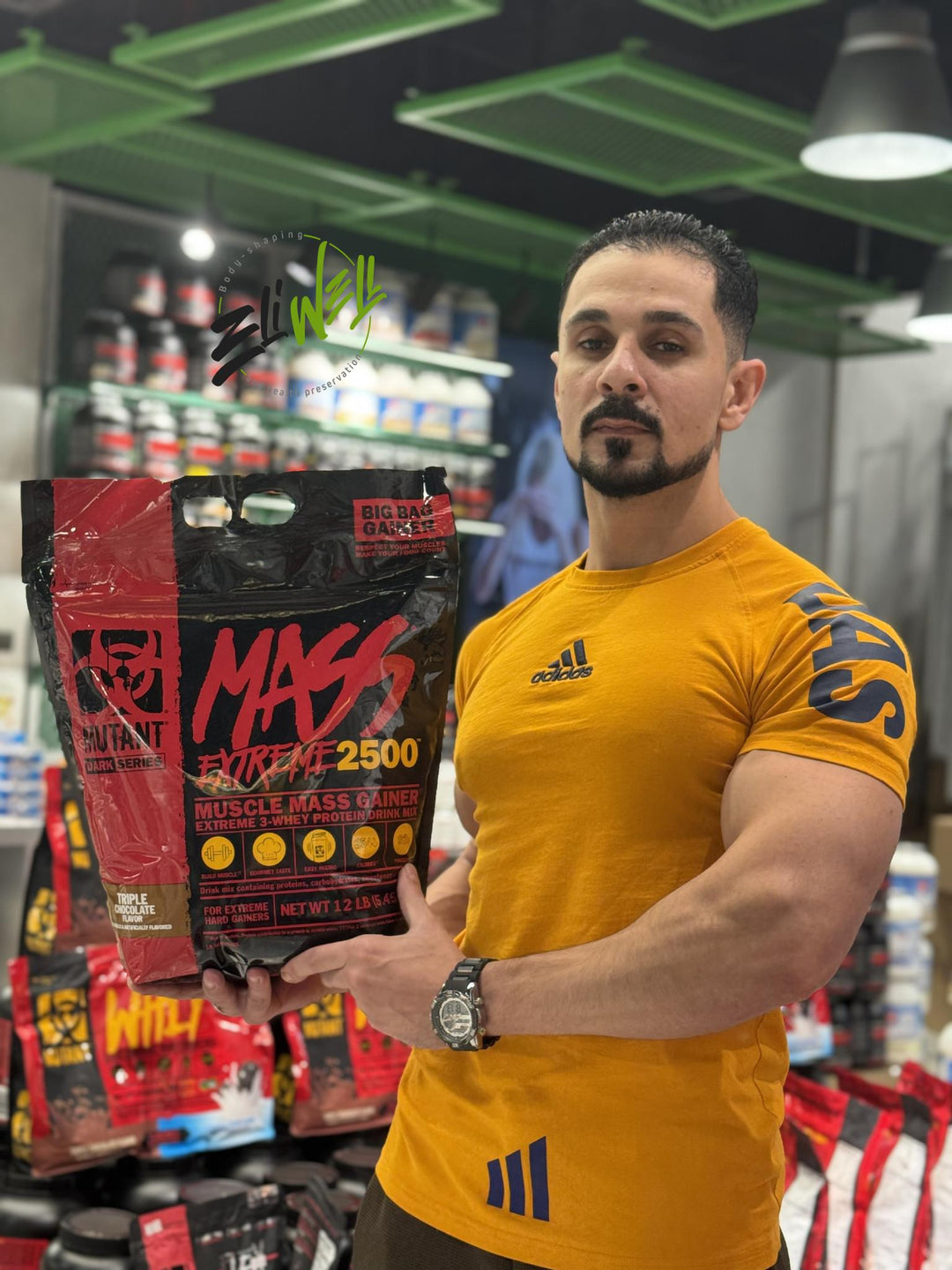 Tips To Choose the Right Mass Gainer for Yourself – Eliwellnutrition